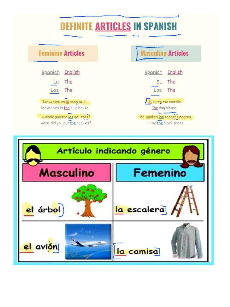 Articulo Definido | PDF