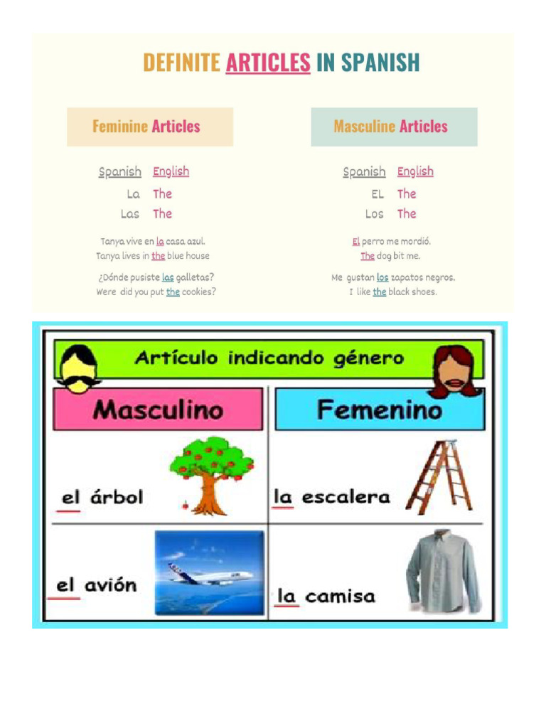 Articulos Definidos | PDF