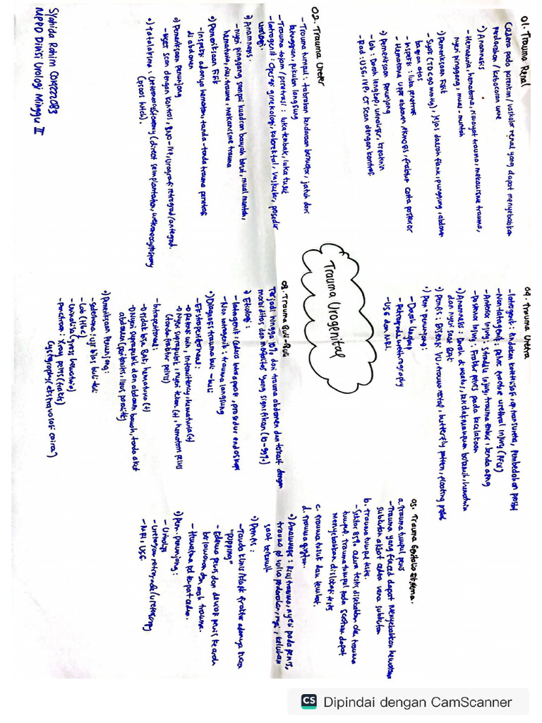 Syahida Rahim - Mind Map | PDF