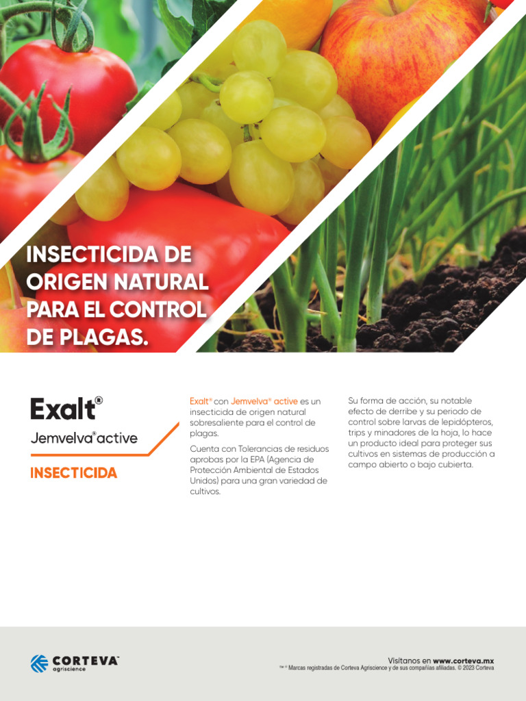 Folleto Exalt1 | PDF | Insecticida | Hoja