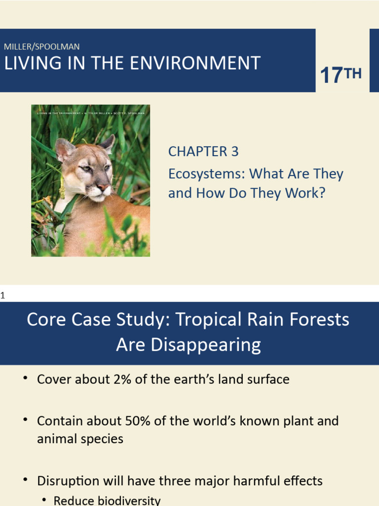 Ecosystem Functions and Energy Flow | PDF | Food Web | Ecosystem