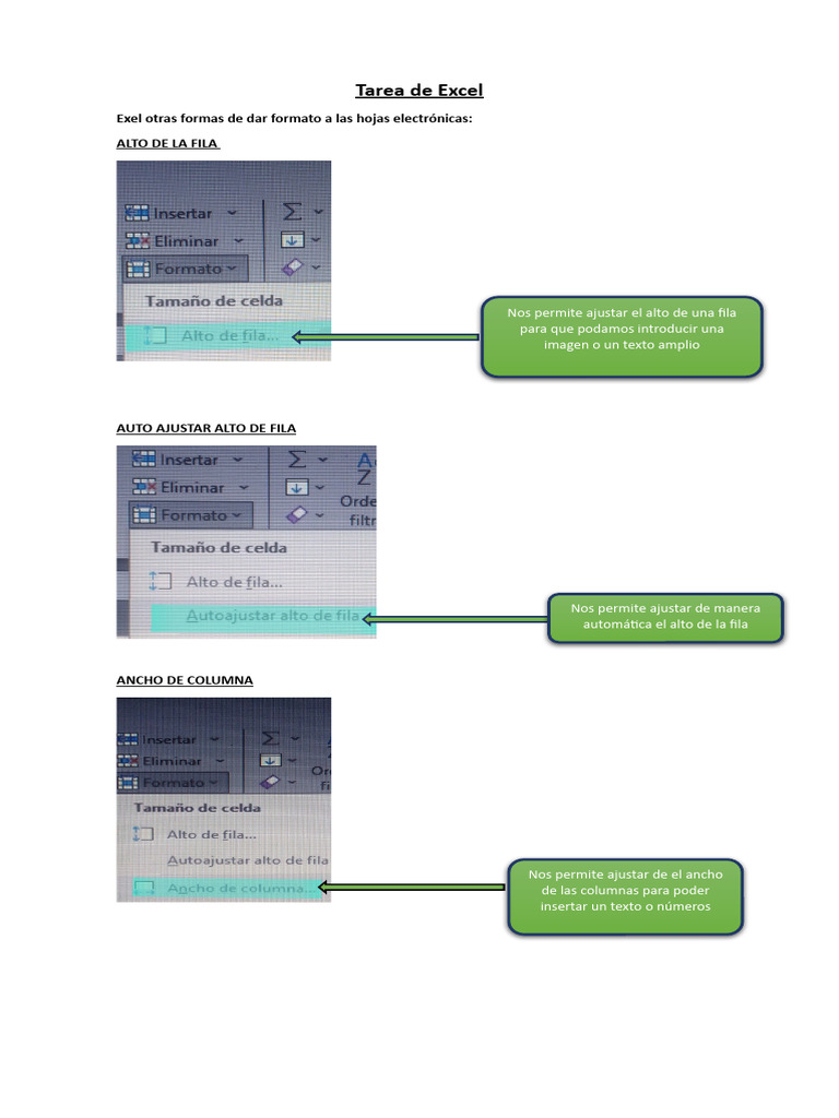 Tarea de Excel | PDF | Microsoft Excel | Informática