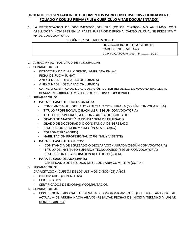 1_anexo 01-cas2024 | PDF