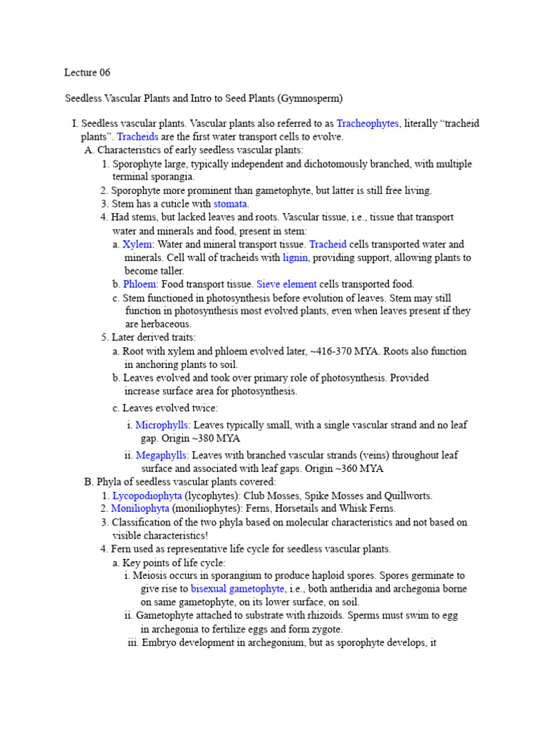 Lecture 06 - Questions - Summary - 2024 | PDF | Leaf | Spore