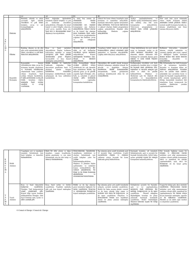 Assessment Grid Turkish | PDF