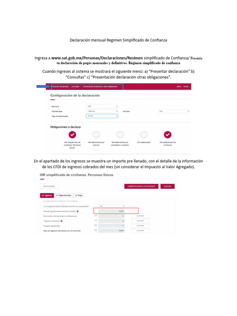 Formulario RESICO persona fisica | PDF