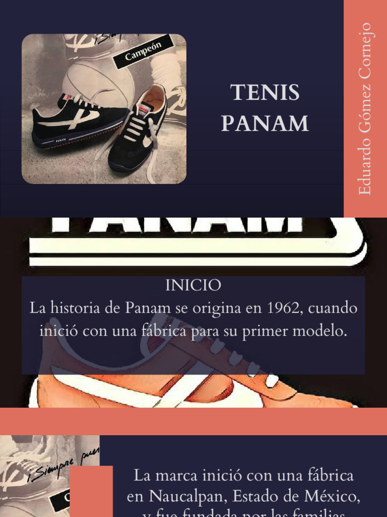 PRESENTASION PANAM | PDF