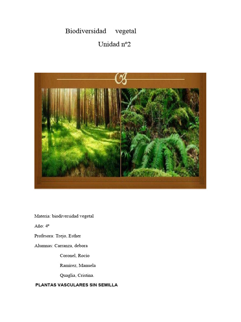 Biodiversidad Vegetal Unidad N2 | PDF | Ciencia y matemáticas