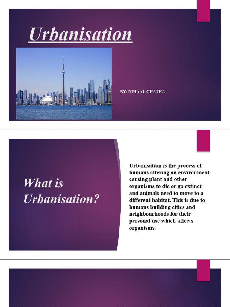Urbanisation Project | PDF | Urbanization | Habitat