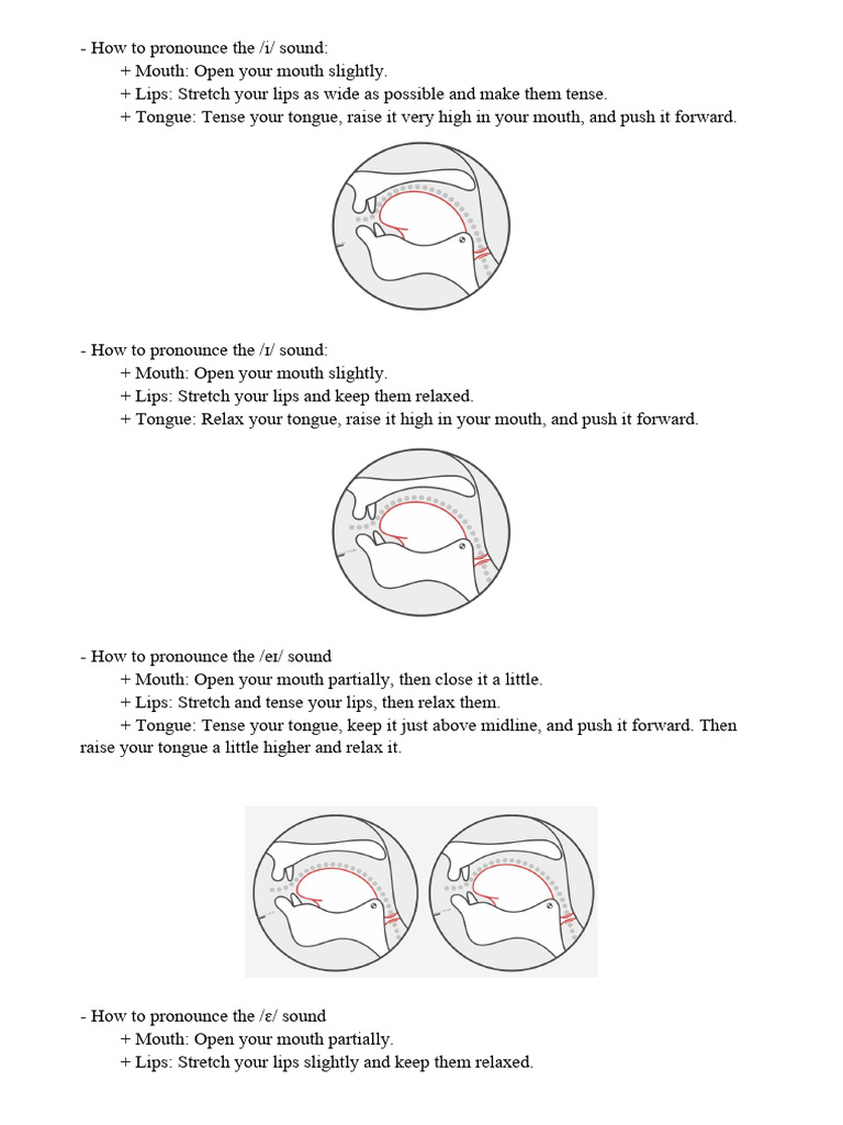 IPA | PDF | Mouth | Tongue