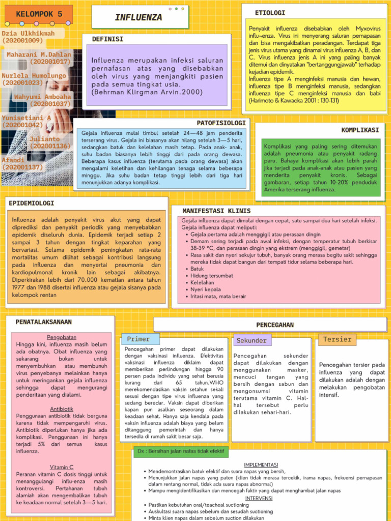 Mapping Influenza | PDF