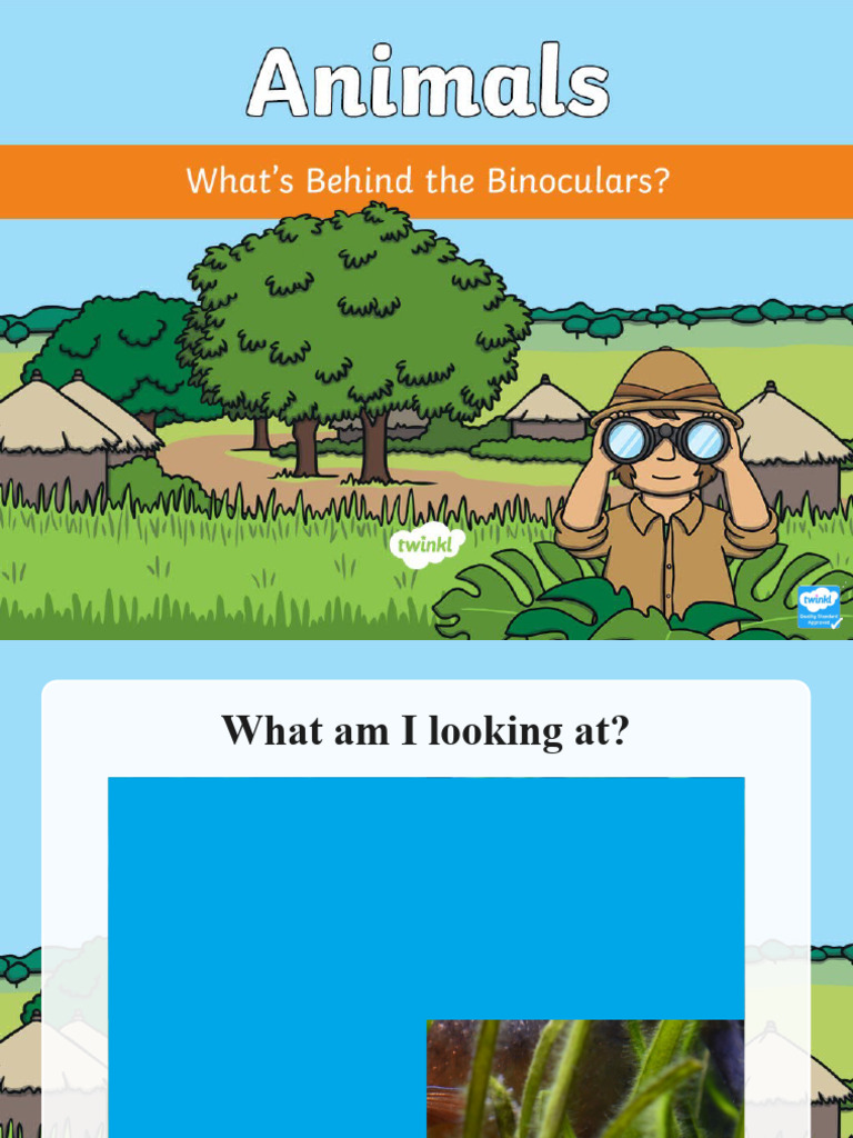 T TP 686 Animals Whats Behind The Binoculars PowerPoint Game Ver 1 | PDF