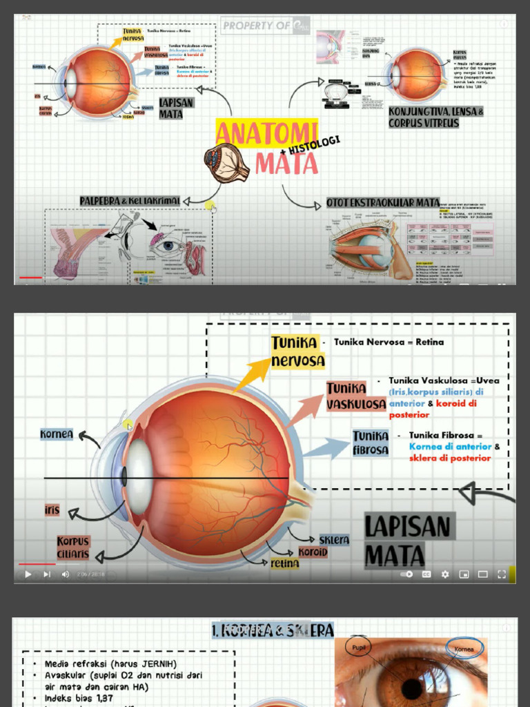 Anatomi Dan Fisiologi Mata | PDF