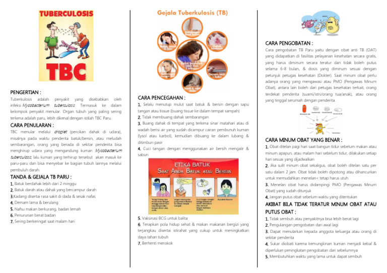 Leaflet TB Paru | PDF | Kesehatan Holistik