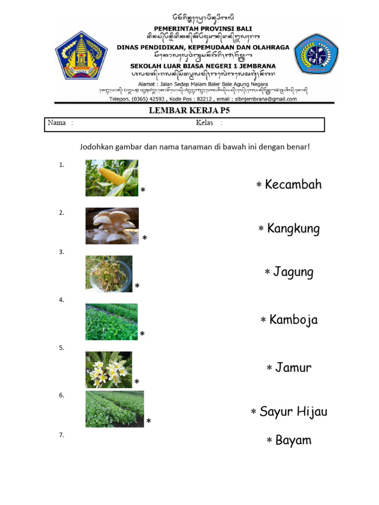 Lembar Kerja P5 2 | PDF