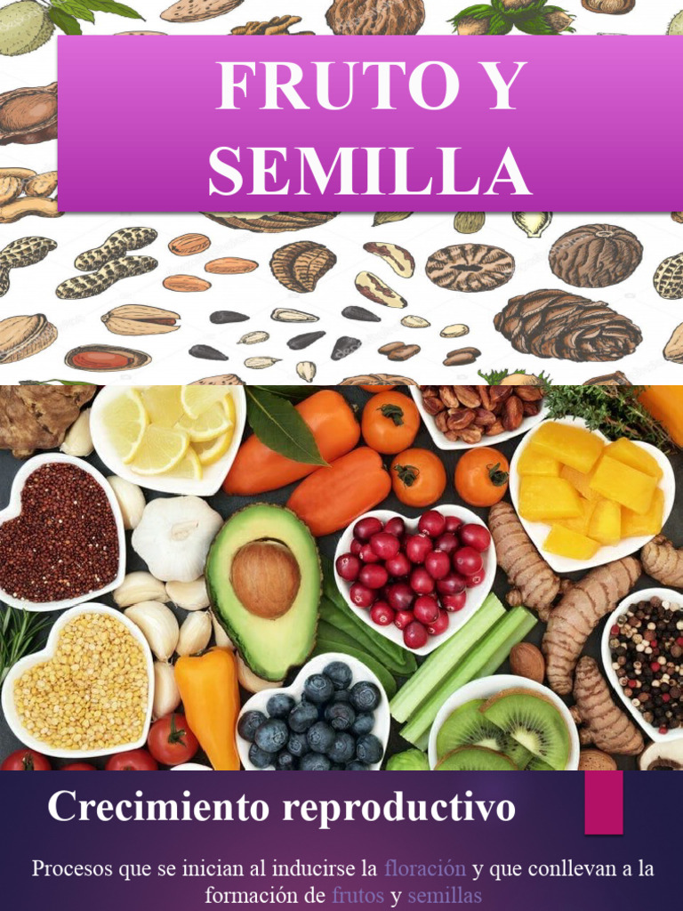 Clase 9 Semilla y Fruto | PDF | Semilla | Germinación