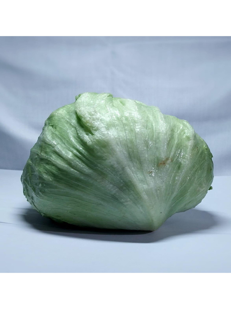 Fotos de Lechuga | PDF