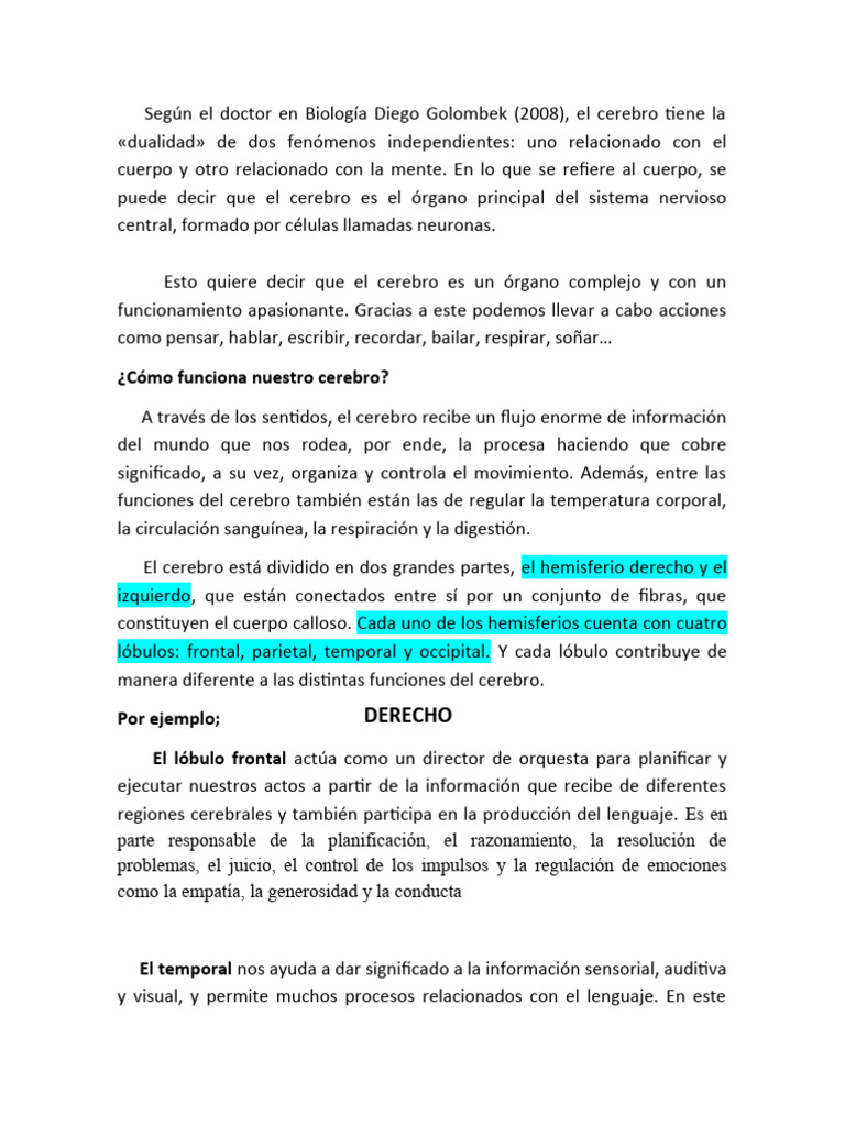 El Cerebro Pdf Cerebro Hemisferio Cerebral