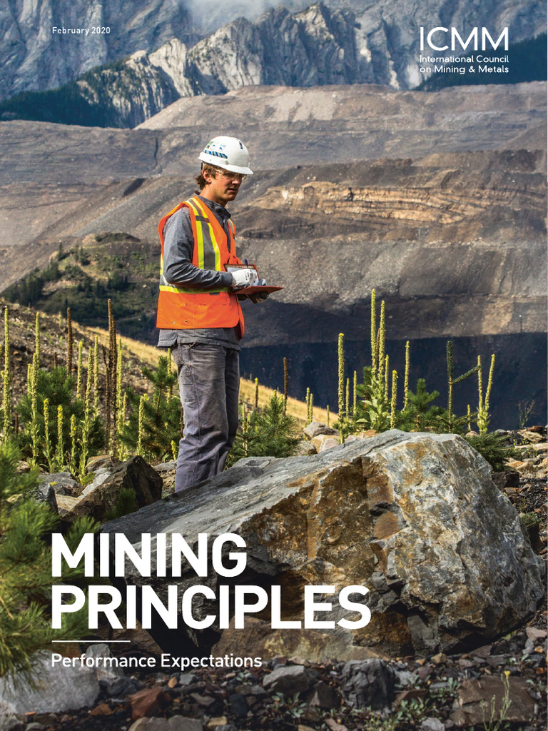 ICMM Mining Principles for Sustainability | PDF | Occupational Safety And Health | Sustainability