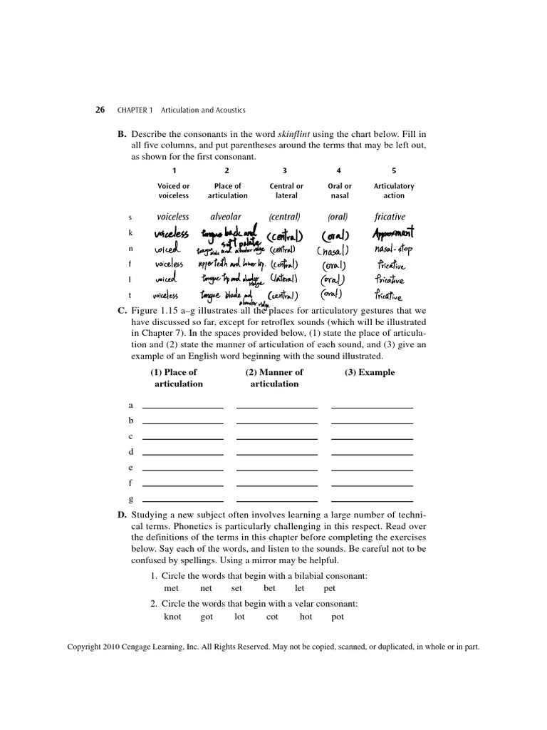 Exercise B | PDF | Consonant | Phonology