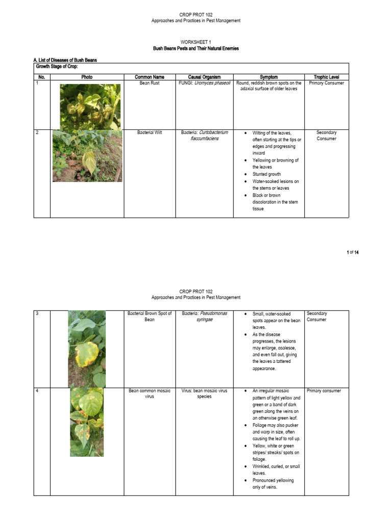 Exercise 1 Laboratory 1 | PDF | Pest (Organism) | Leaf