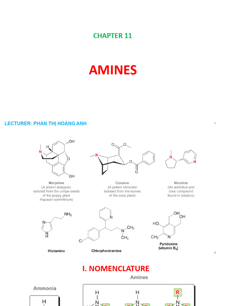CHAPTER 11 - AMINES | PDF | Amine | Chemical Reactions