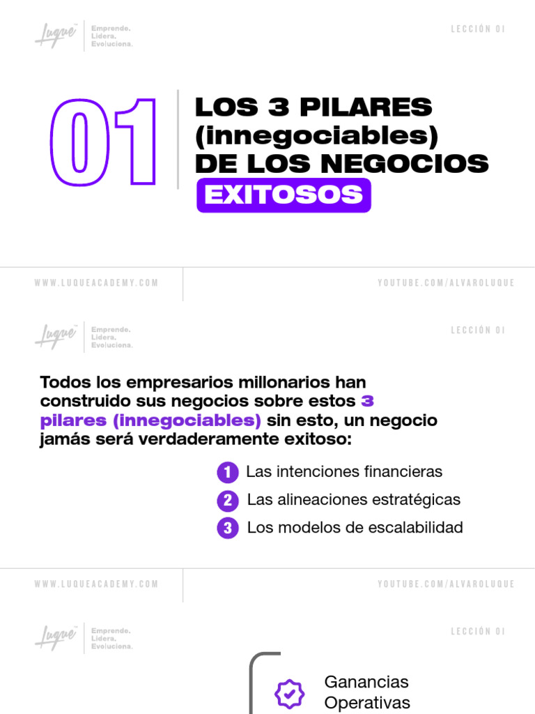 Los 3 Pilares de Los Negocios Exitosos | PDF