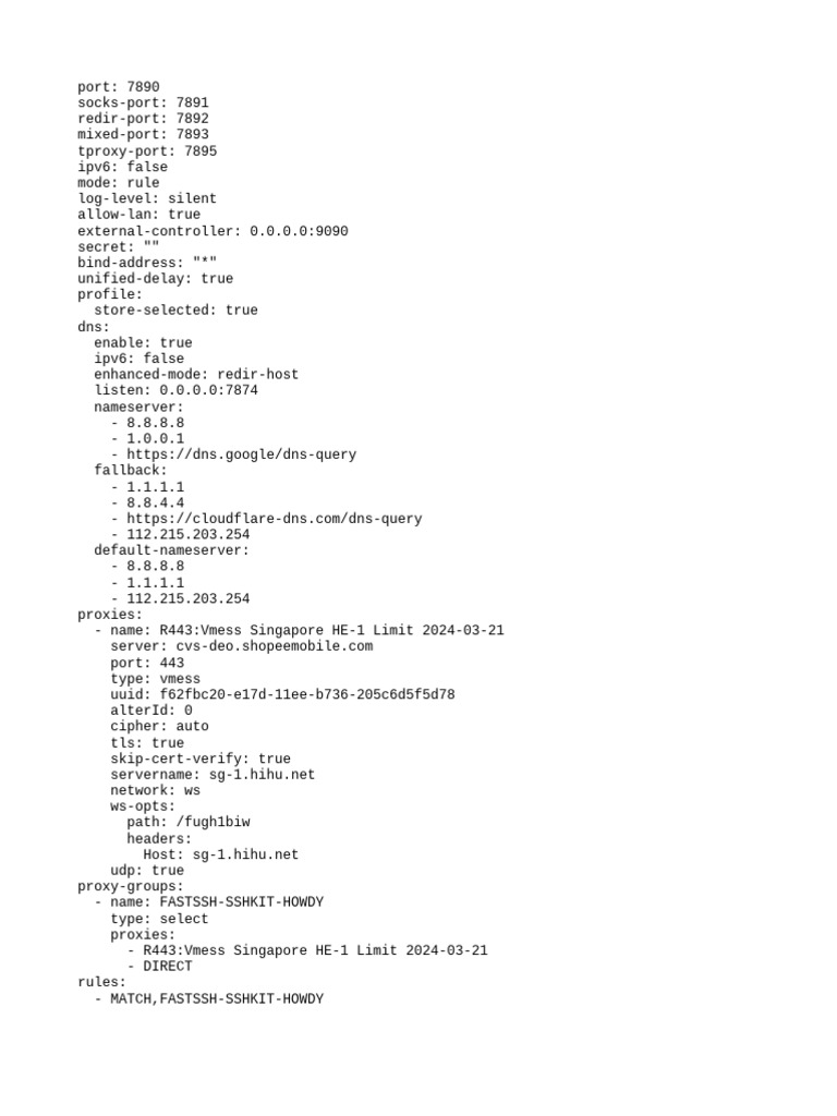 Vmess Proxy Configuration Guide | PDF | Business | Computers