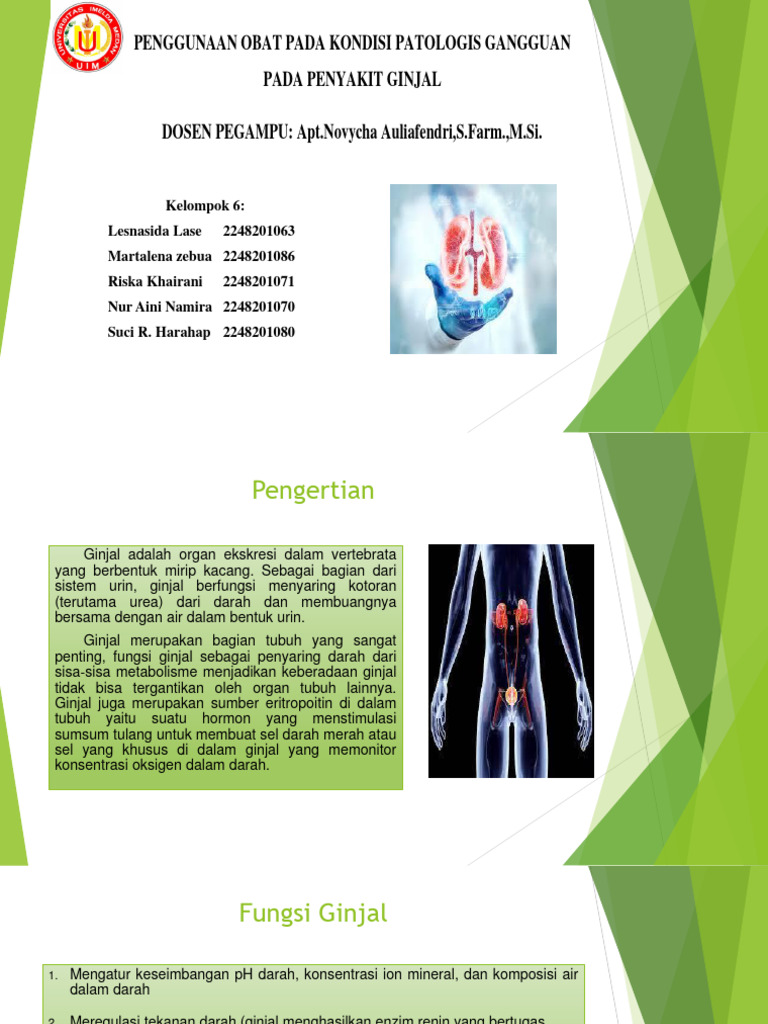 Farmakoterapi Kel. 6 | PDF | Pengembangan Diri | Kesehatan Holistik