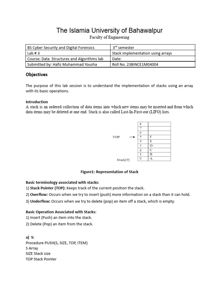 Our DSA Lab 3 Yousha | PDF | Software Engineering | Computer Programming