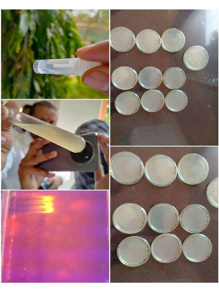 Biotechnology Practical Notes | PDF