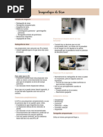 Proyecciones PA Y AP | PDF | Tórax (anatomía humana) | Anatomía