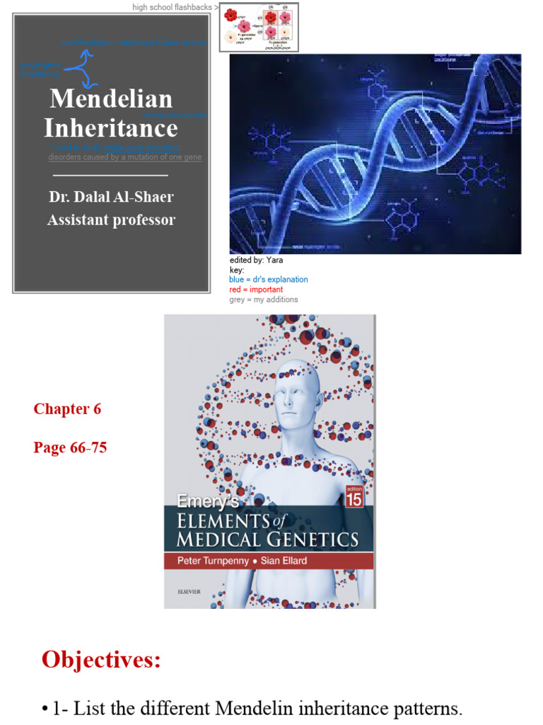 L5,6 - Patterns of Inheritance | PDF | Allele | Genetic Disorder