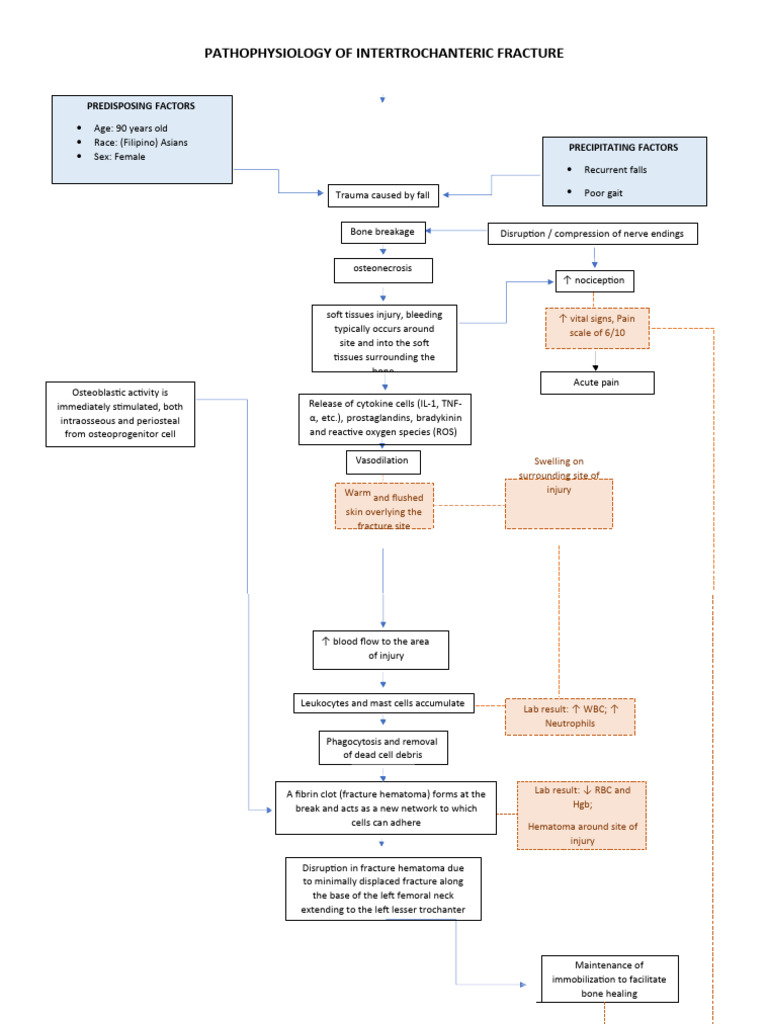 PATHOPHYSIOLOGY | PDF | White Blood Cell | Diseases And Disorders