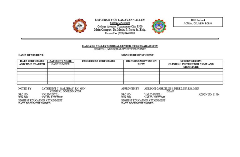 DR Actual Form | PDF