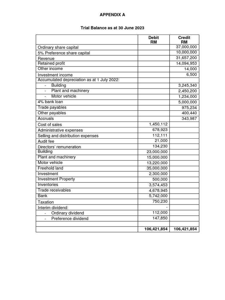 Appendix A - Trial Balance Group Project March - July 2023 | PDF ...