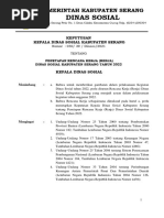 Panduan E-Reporting DWP 2025 | PDF
