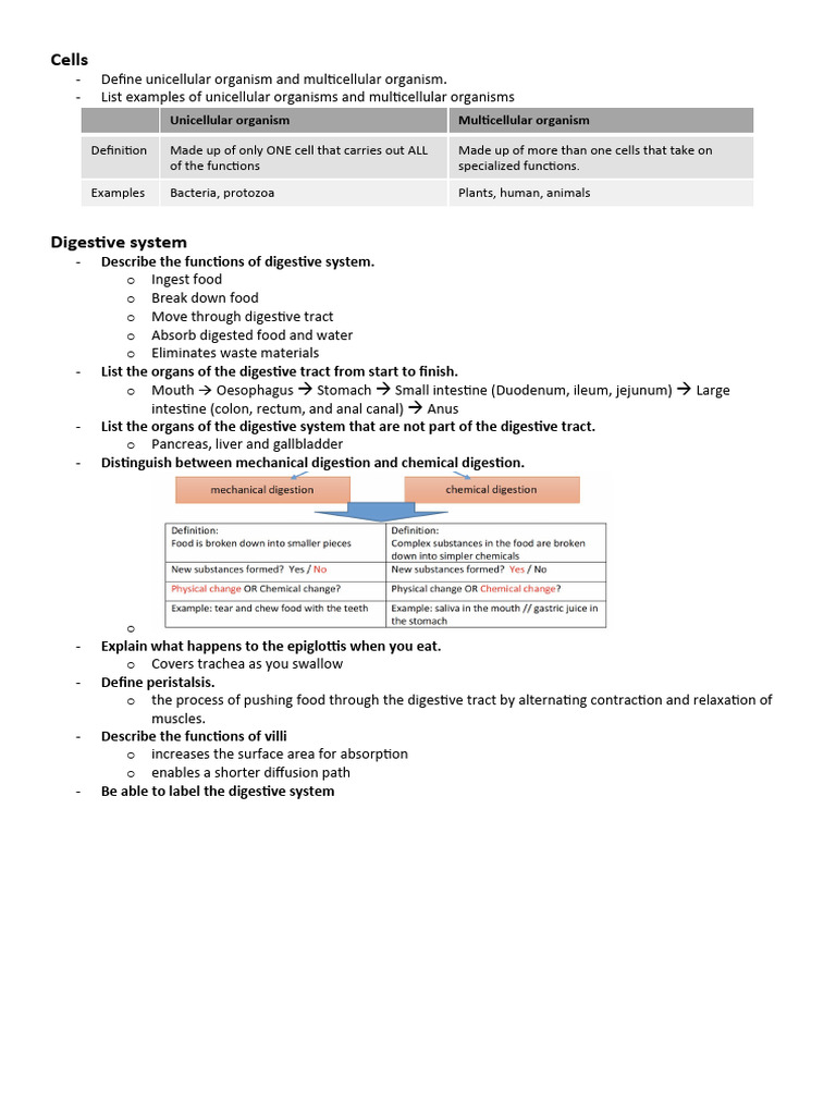Revision Booklet | PDF | Rock (Geology) | Igneous Rock