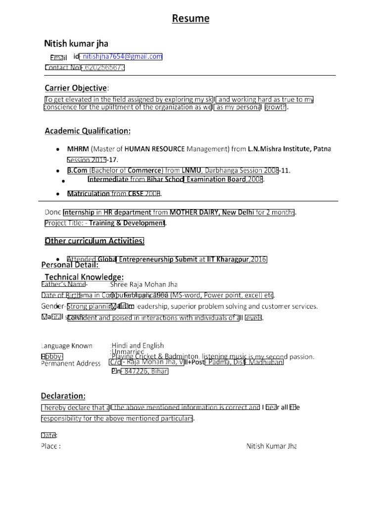 Nitish CV | PDF