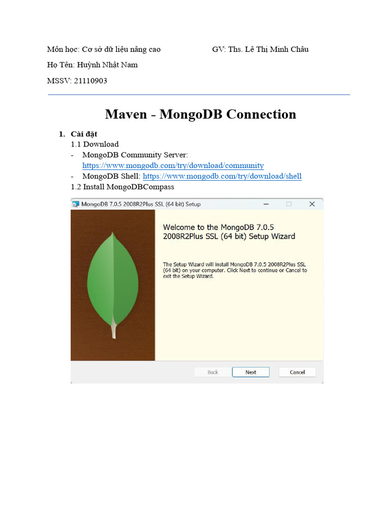 HuynhNhatNam Maven MongoDB Connection | PDF