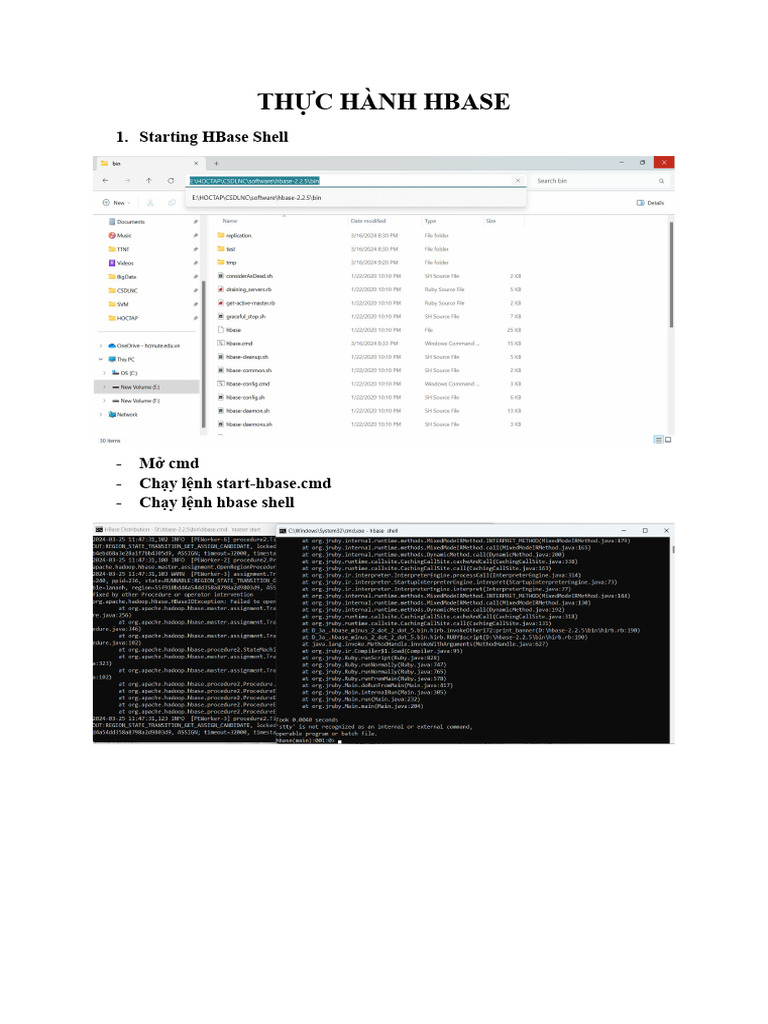 HBase Shell & Java API Guide | PDF