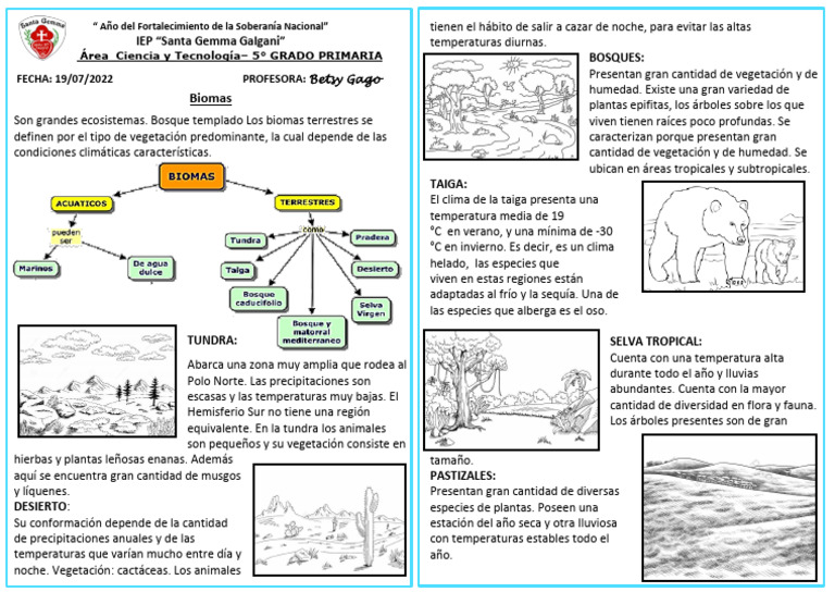 Los Biomas y Sus Tipos | Descargar gratis PDF | Clima | Biogeografia