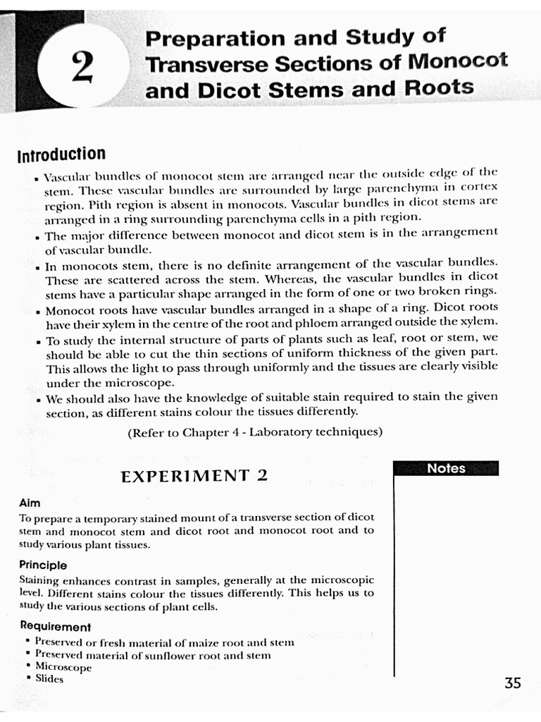 Monocot and Dicot Root Prep and Study Pract9 | PDF