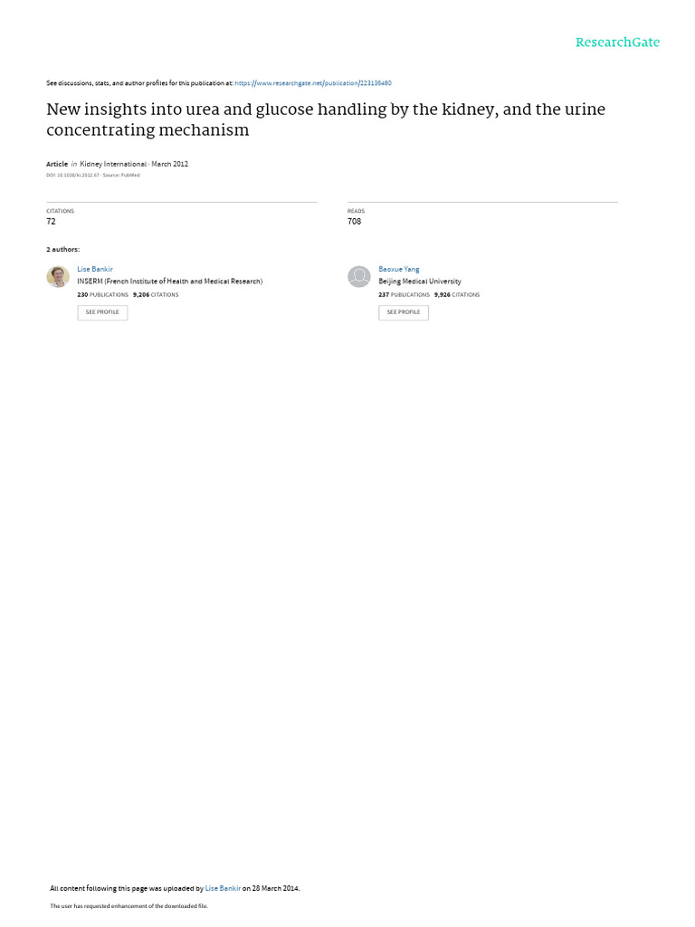 intra renal cori cycle | PDF | Kidney | Urinary System