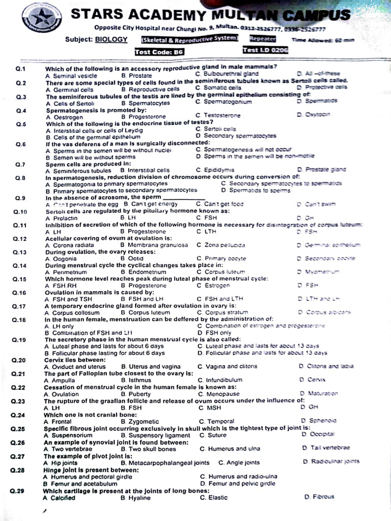 STARS 2023 B-6 Test - Assignment | PDF
