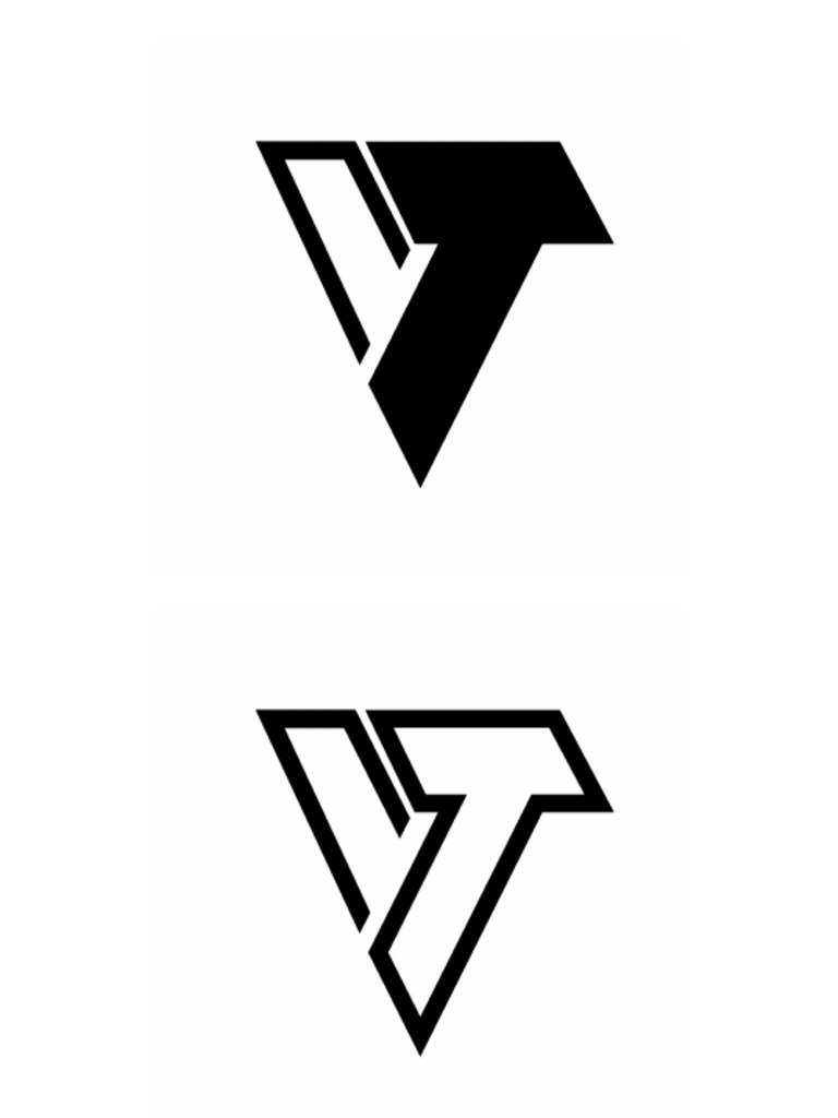 VTH Logo v.1 | PDF