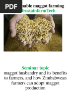 Maggot Farming | PDF | Fly | Agriculture