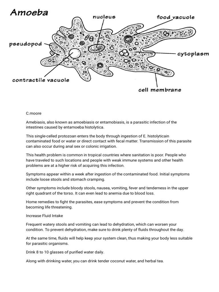 Amoeba or Amebiasis,#1 | PDF | Medical Specialties | Clinical Medicine