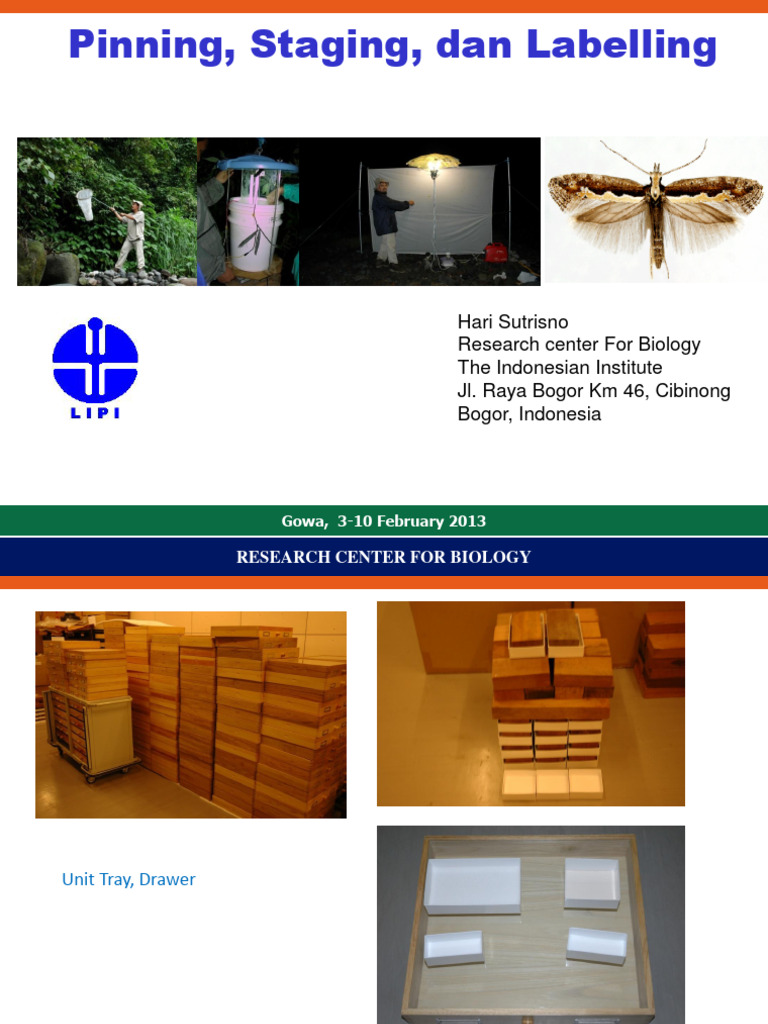 PinningStaging Label Preparation and Labelling | PDF