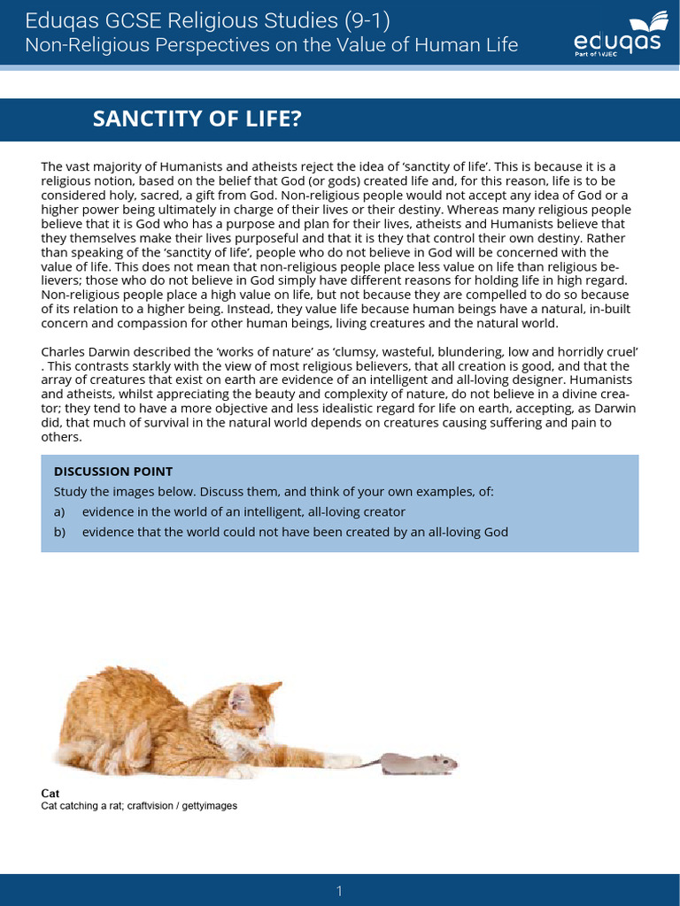 Non-Religious Perspectives On The Value of Human Life | PDF | God ...